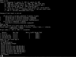 BGP Case Study: Impact of Auto-Summary on Redistribute and Network ...